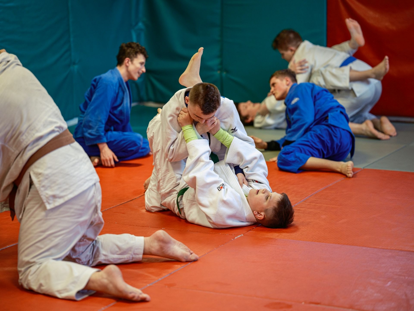 A judo szakosztály első félévét elemeztük | Pécsi Vasutas Sportkör
